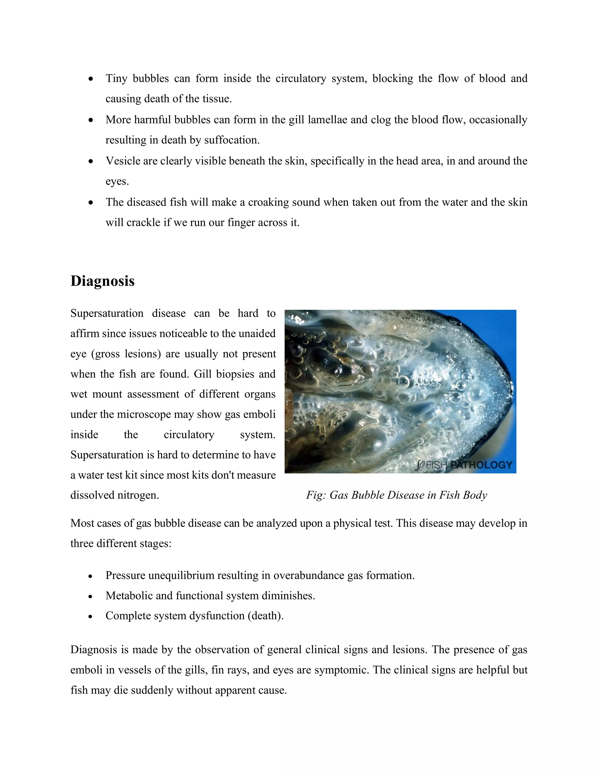 Gas bubble disease of fish | PDF