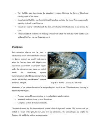 Gas bubble disease of fish | PDF