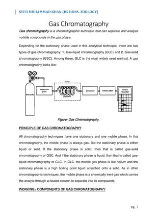 Gas Chromatogram
