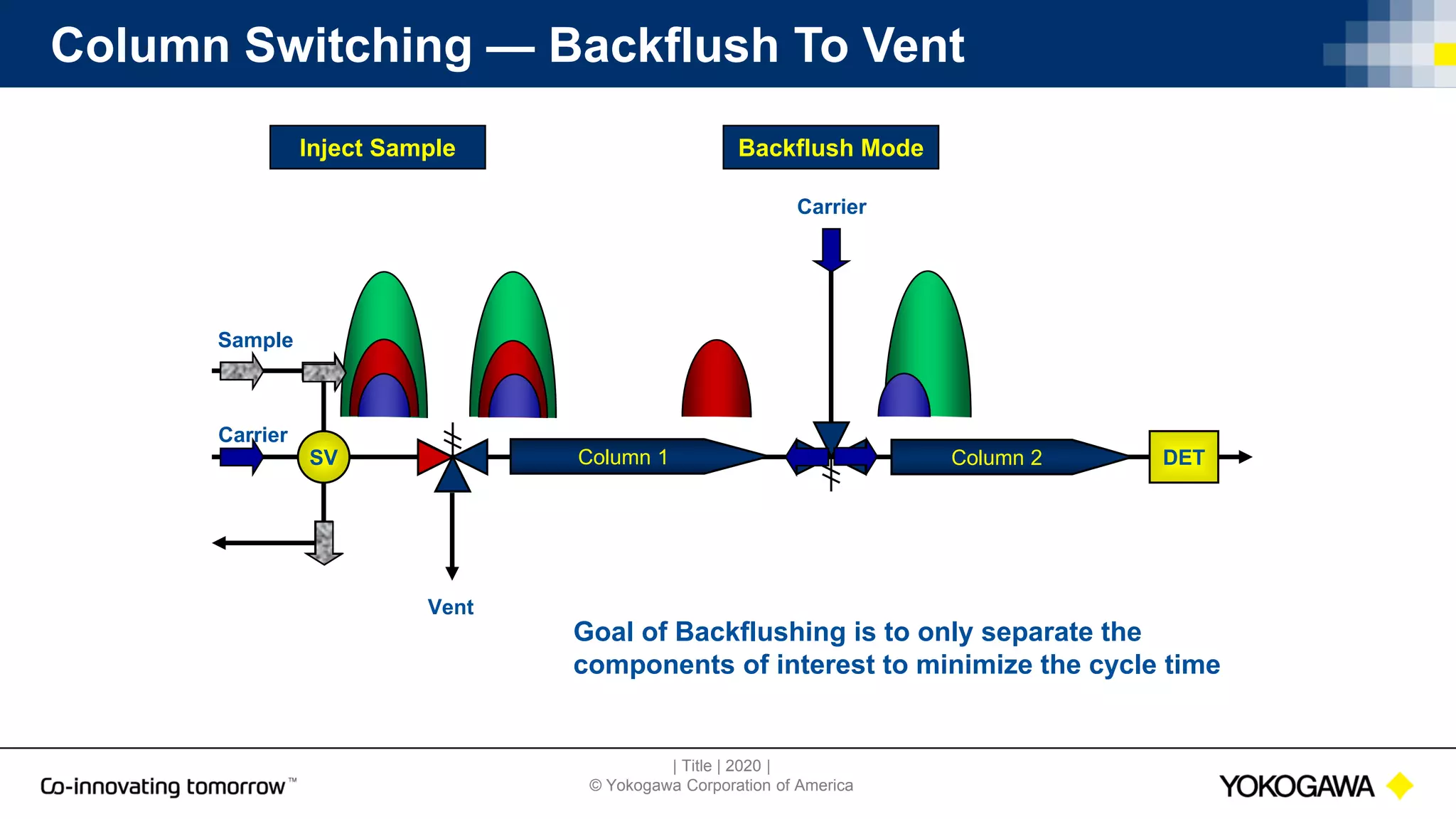 Chromatography Basics 2021 | PDF