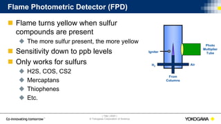 Chromatography Basics 2021 | PDF