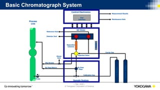 Chromatography Basics 2021 | PDF