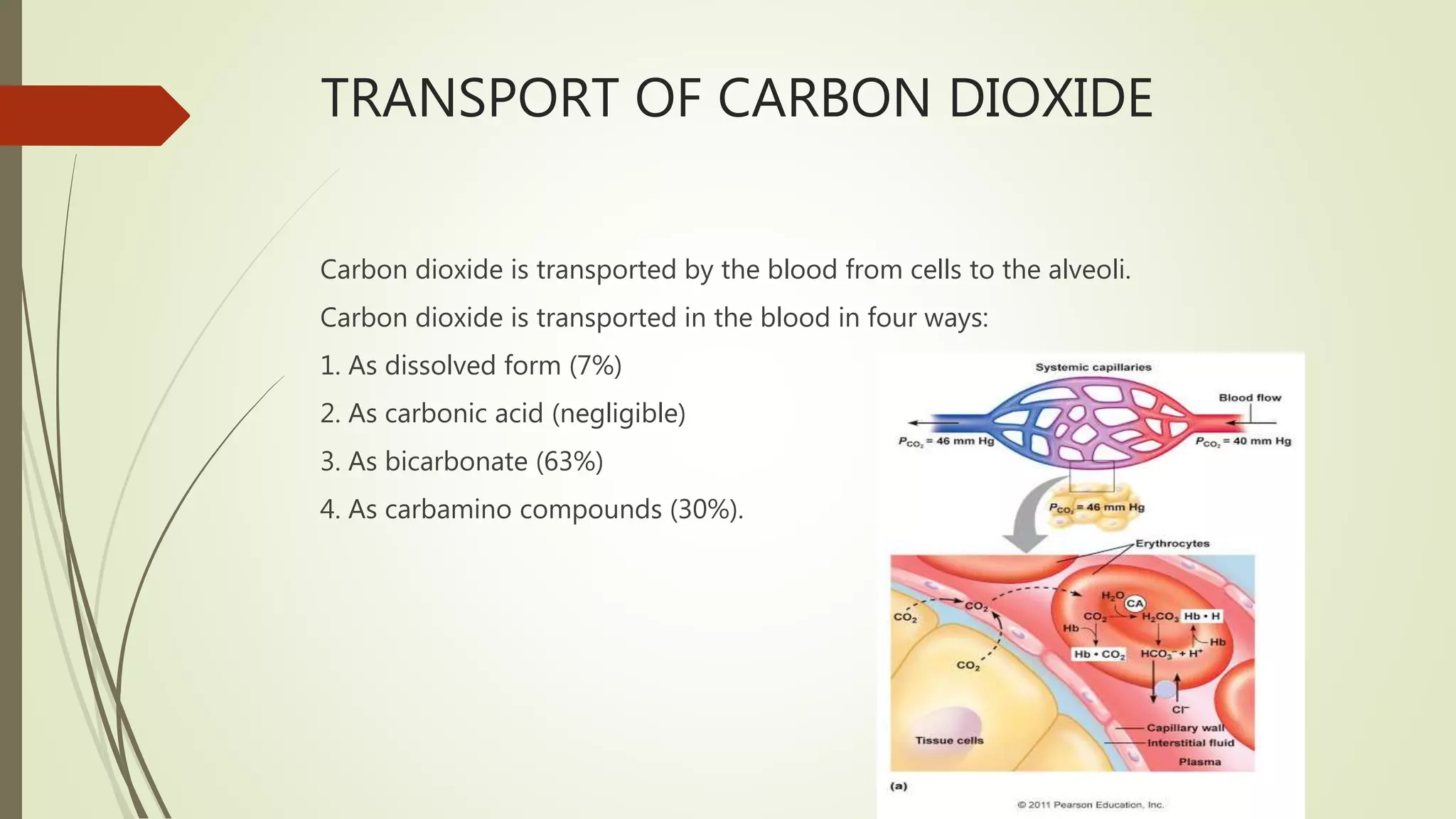 Gas diffusion in lung | PPTX