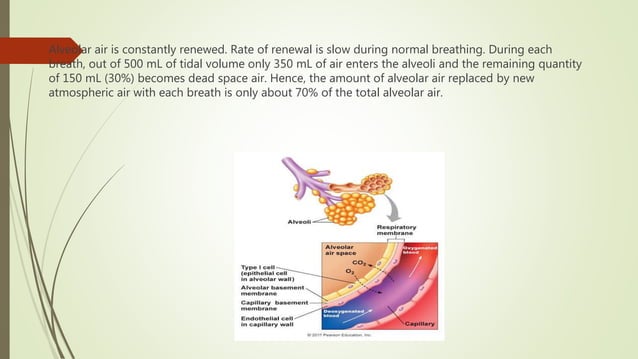 Gas diffusion in lung | PPTX | Lung and Respiratory Health | Diseases ...