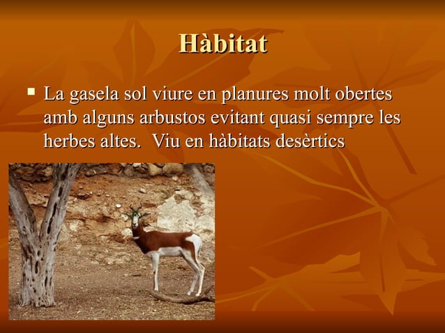 Gasela dama valeria_i_maria_final2 | PPT