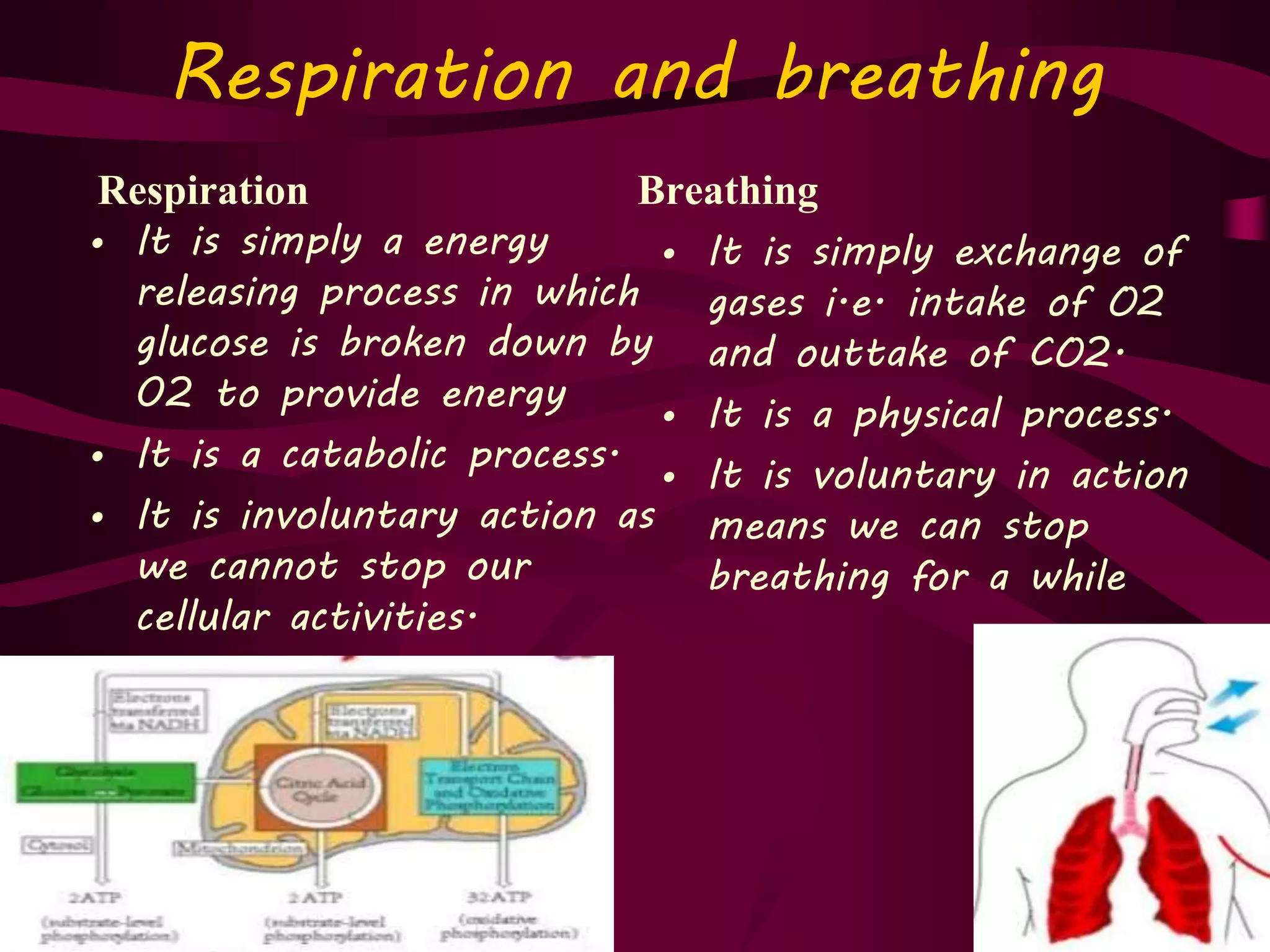 Gaseous exchange | PPTX