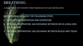 Gaseous exchange | PPTX