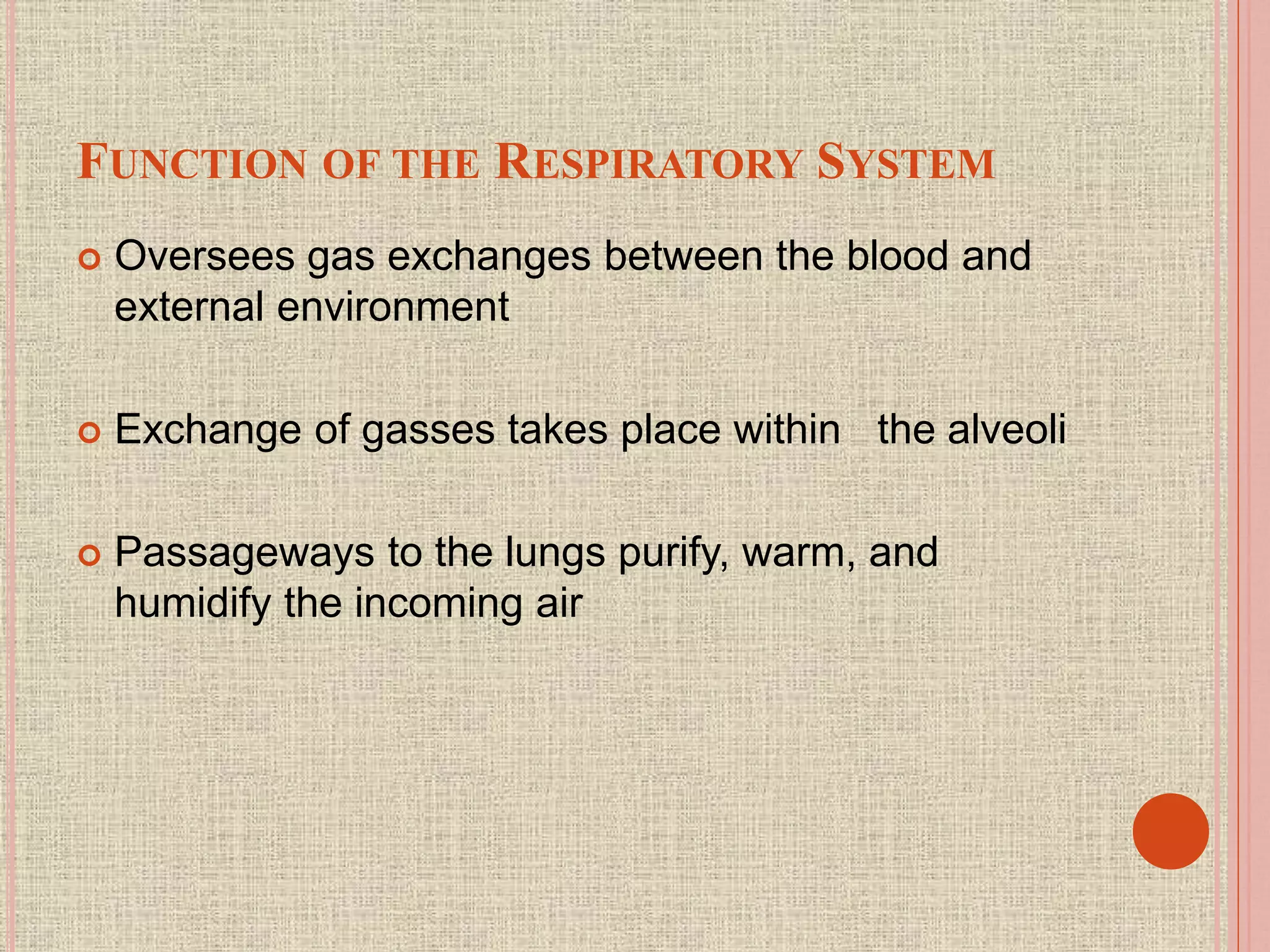 Gaseous exchange in human | PPTX