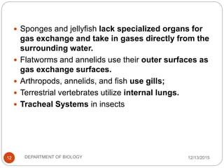 Gaseous exchange in mammals | PPTX