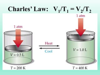 Gas Laws | PPTX