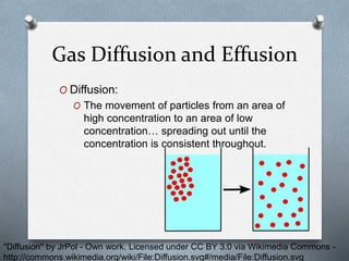 Gases | PPTX