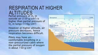 Dalton's Law of Partial Pressure | PPTX
