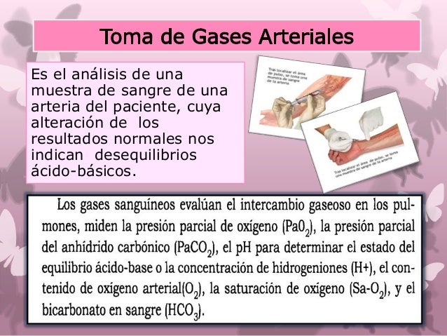 Iris Guevara's Instagram, Twitter & Facebook on IDCrawl