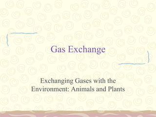 Gas exchange | PPTX