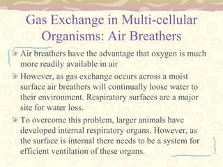 Gas exchange | PPTX