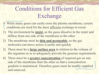 Gas exchange | PPTX