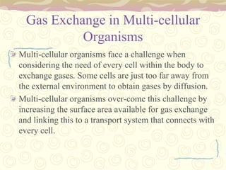 Gas exchange | PPTX
