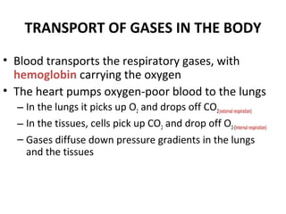 Gas exchange | PPT