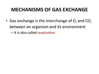 Gas exchange | PPT