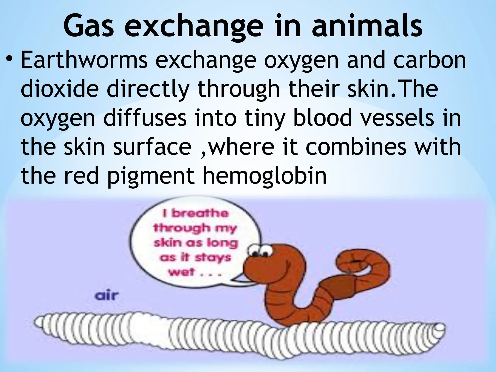 Gas Exchange in Animals (Including Human) | PPTX