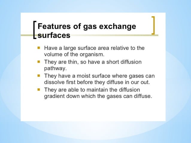 Gas Exchange in Animals (Including Human) | PPTX