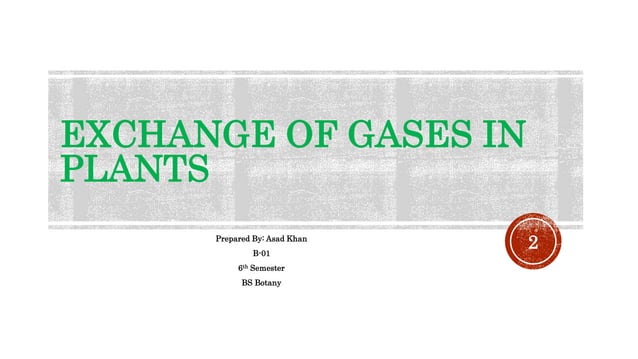 Gases Exchange in Plants | PPTX
