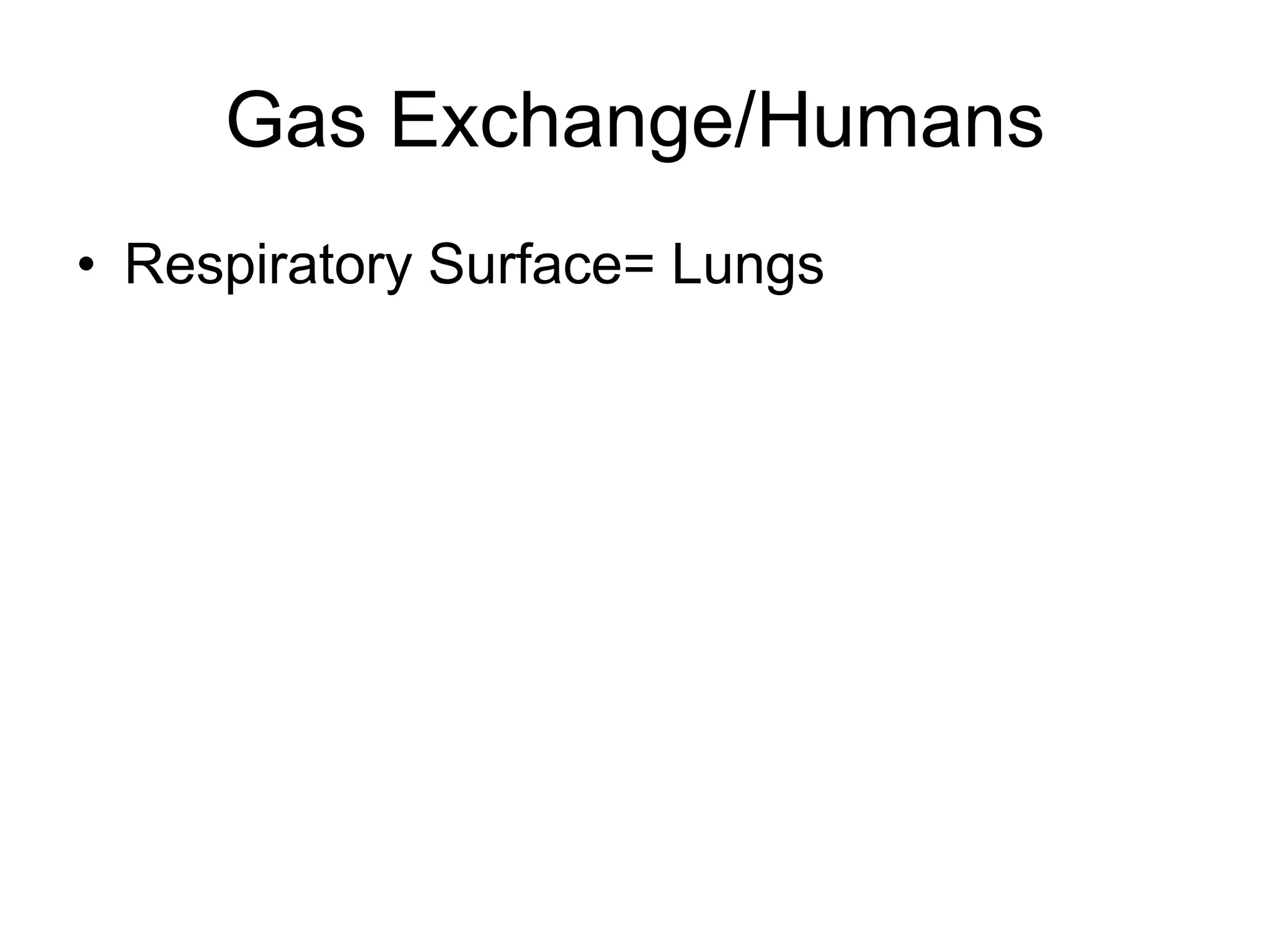 Gas_Exchange.ppt