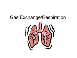 Gas_Exchange.ppt