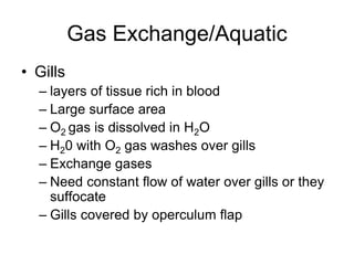 Gas_Exchange.ppt