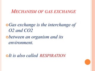 Gas exchange.pptx