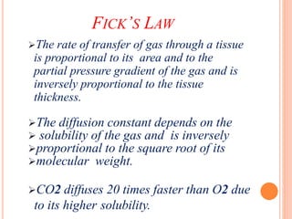 Gas exchange.pptx