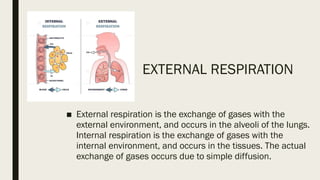 GAS EXCHANGE. earth and life subject. pptx | PPTX