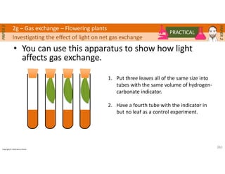 Gas exchange of the Flowering plants.pdf