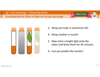 Gas exchange of the Flowering plants.pdf