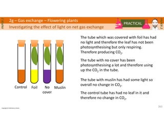 Gas exchange of the Flowering plants.pdf