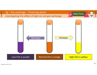 Gas exchange of the Flowering plants.pdf