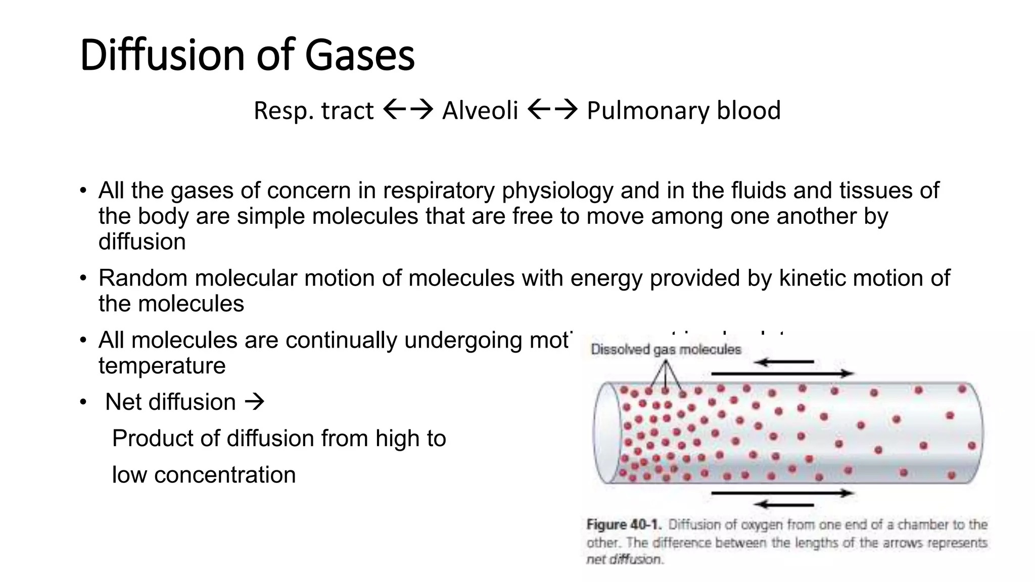 Gas Exchange and Transport from Respiratory Tract to (1).pptx
