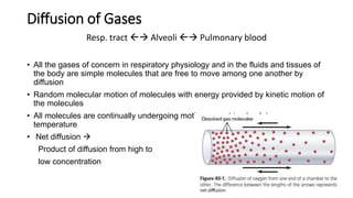Gas Exchange and Transport from Respiratory Tract to (1).pptx