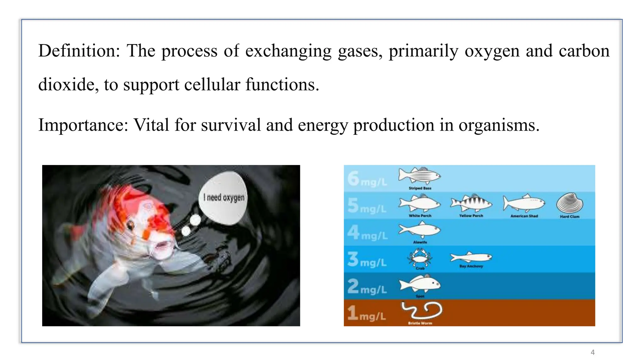 Gas Exchange Concept, Excretion and Osmoregulation in Fish and ...