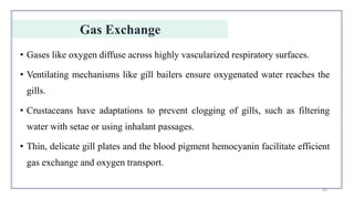 Gas Exchange Concept, Excretion and Osmoregulation in Fish and ...