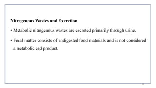 Gas Exchange Concept, Excretion and Osmoregulation in Fish and ...