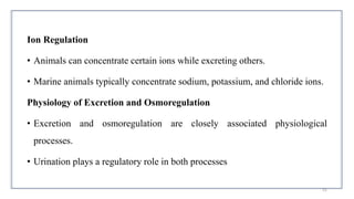 Gas Exchange Concept, Excretion and Osmoregulation in Fish and ...