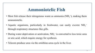 Gas Exchange Concept, Excretion and Osmoregulation in Fish and ...