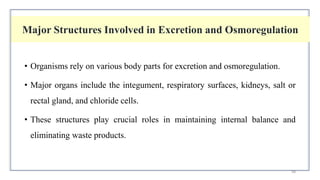Gas Exchange Concept, Excretion and Osmoregulation in Fish and ...