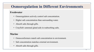 Gas Exchange Concept, Excretion and Osmoregulation in Fish and ...
