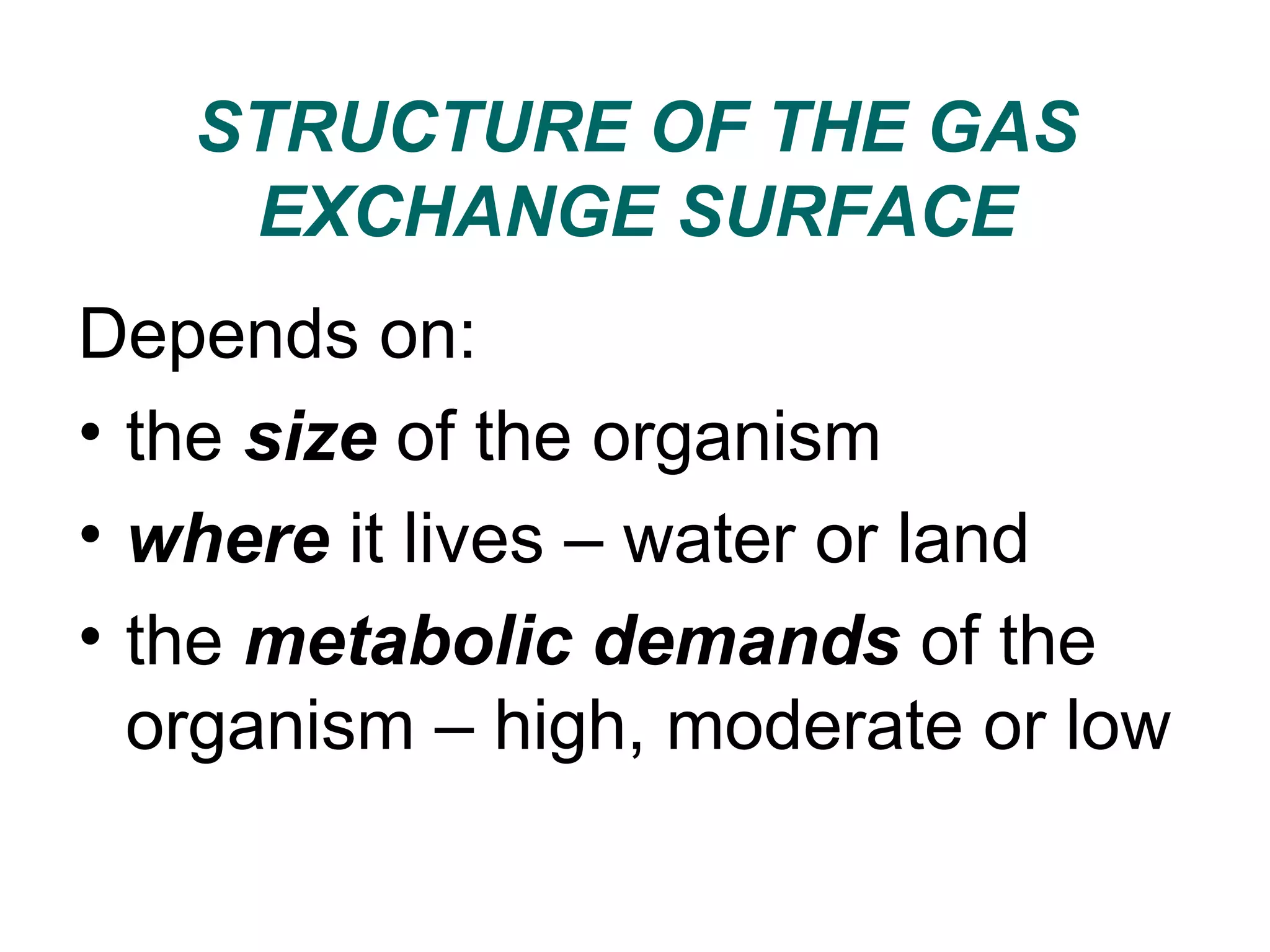 Gas exchange in animals by madeleine | PPT