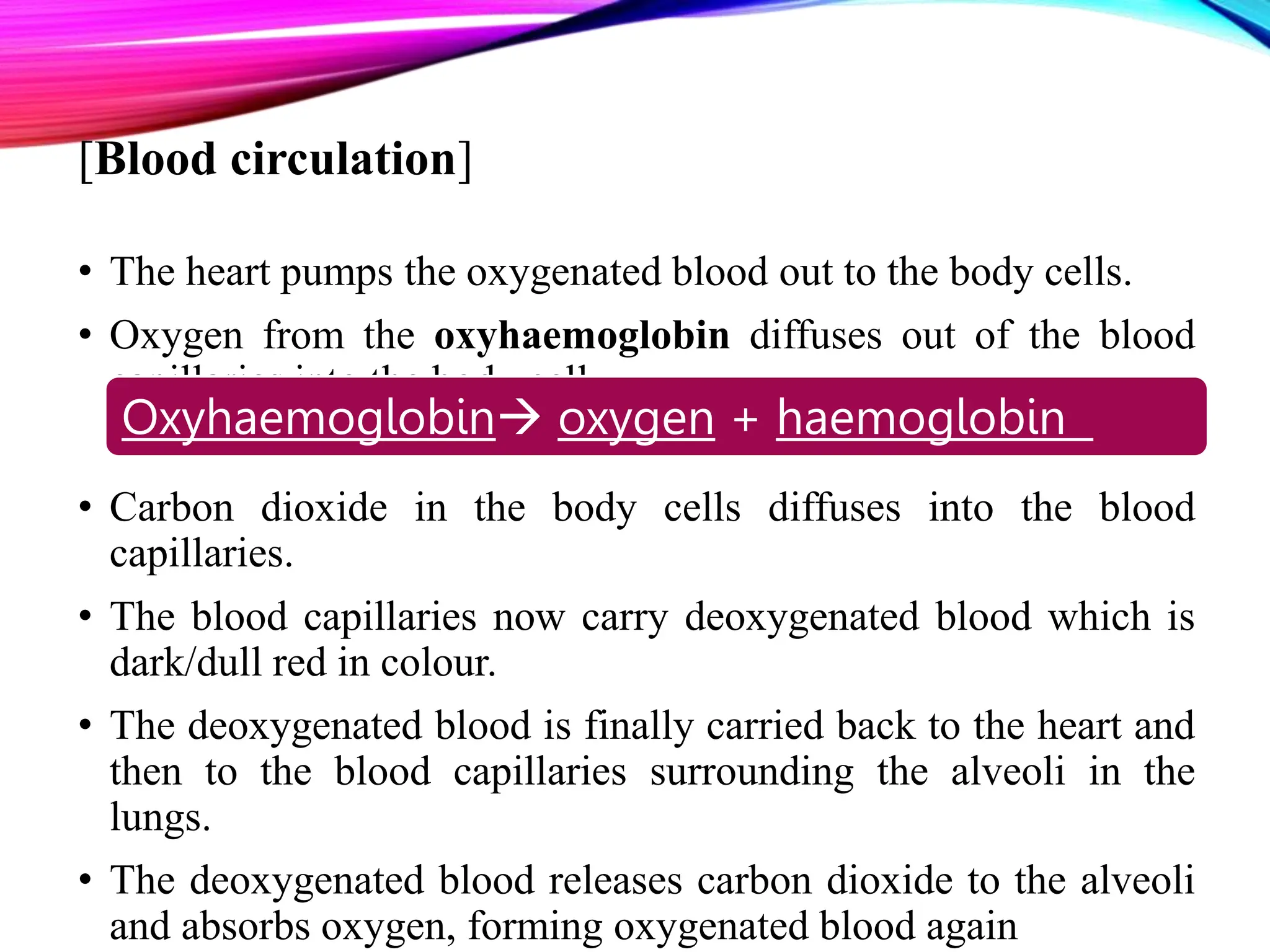 Gas exchange in humans.pptx GCSE Biology | PPTX