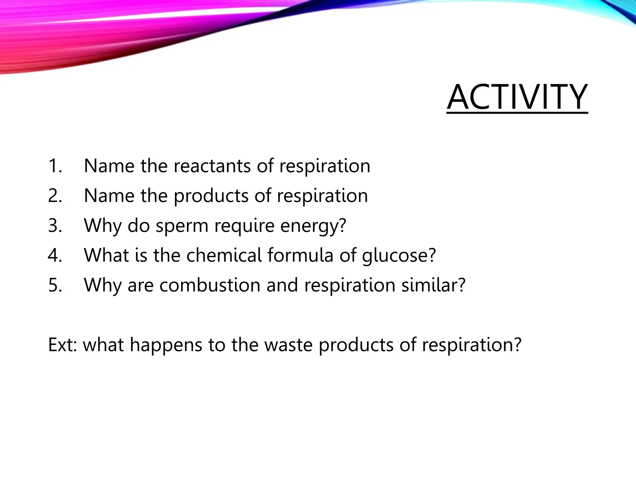 Gas exchange in humans.pptx GCSE Biology | PPTX