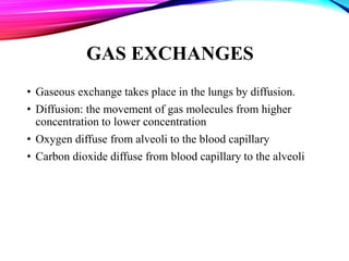 Gas exchange in humans.pptx GCSE Biology | PPTX