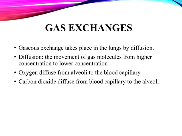 Gas exchange in humans.pptx GCSE Biology | PPTX | Lung and Respiratory ...